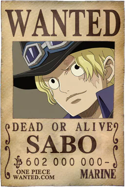 Sabo’s Bounty at 602,000,000 Berries | One Piece Wanted